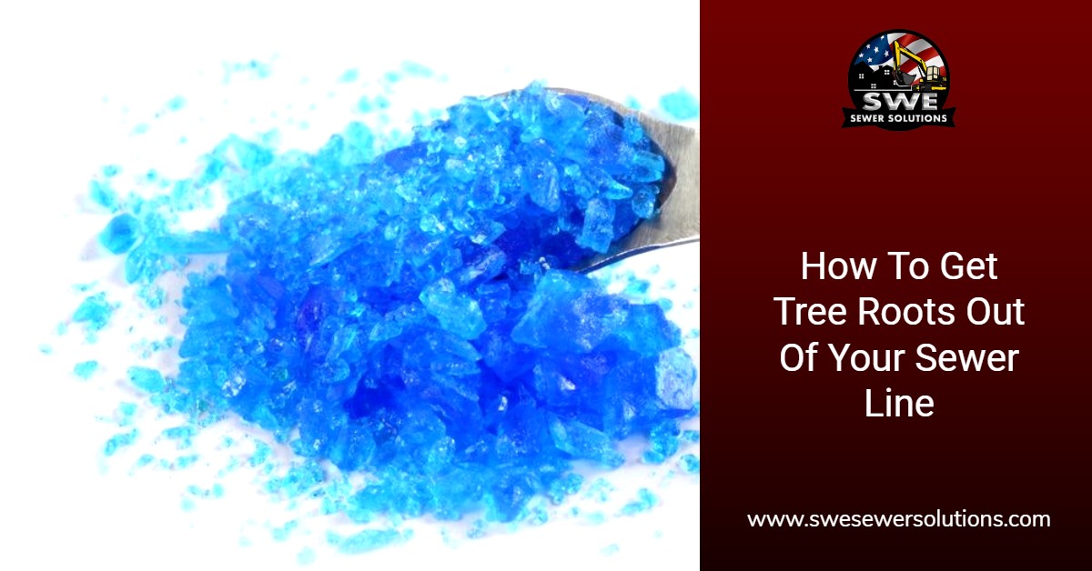 How To Get Tree Roots Out Of Your Sewer Line - Sewer Solutions